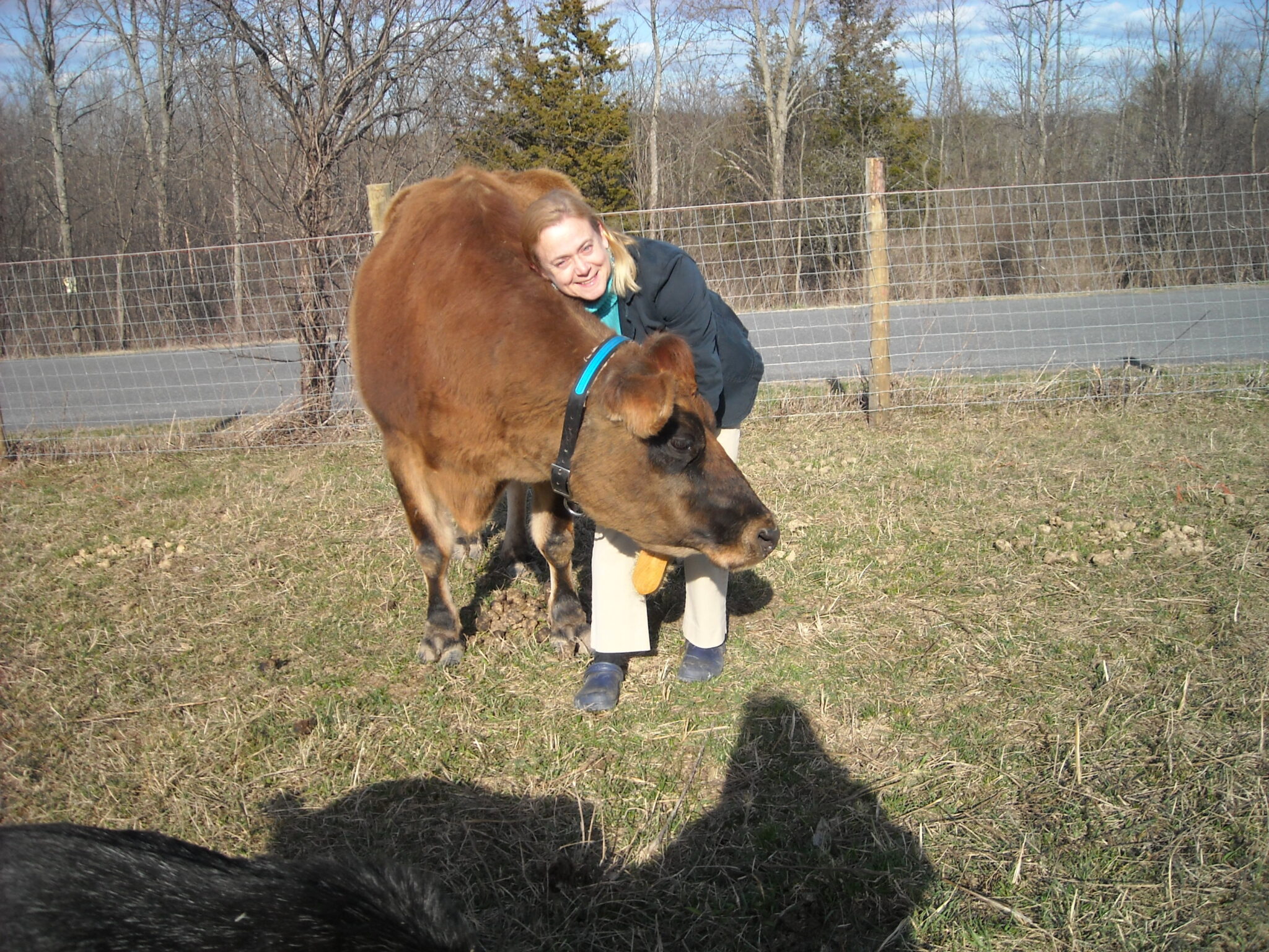 Article - A Tribute to Holly Cheever, DVM | NEW YORK STATE HUMANE ...